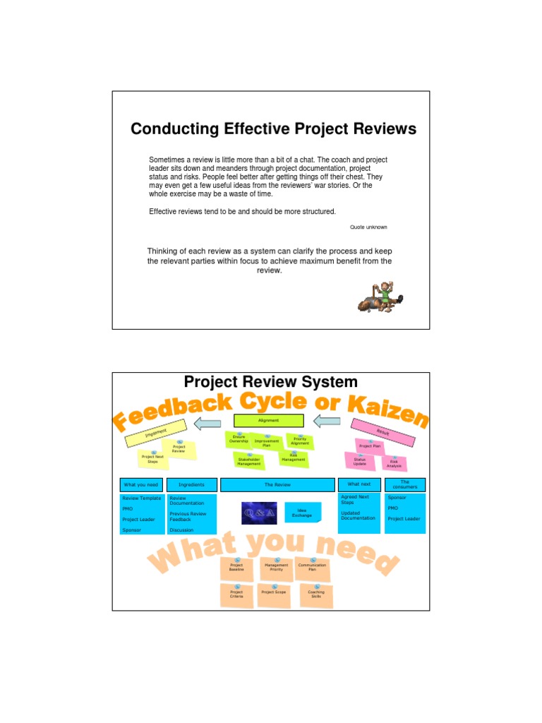 Effective Project Review Strategies | PDF | Project Management | Leadership