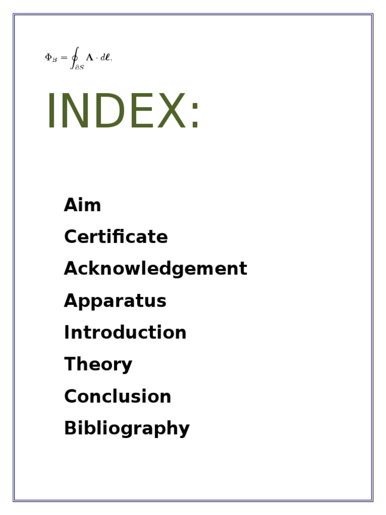Project Physics | PDF | Magnetic Field | Electromagnetic Induction