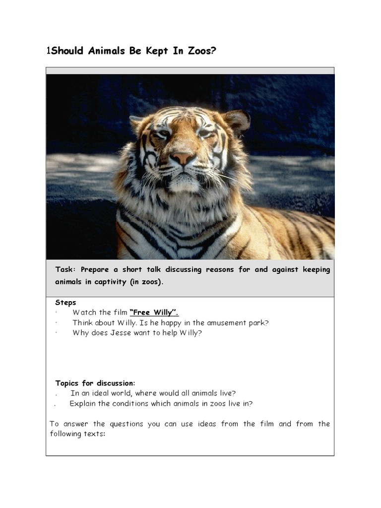 Free Willy Worksheet | PDF