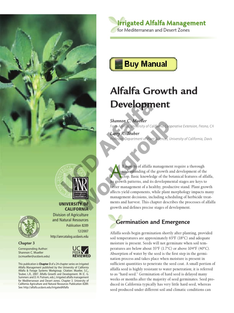 Alfalfa Growth And Development Pdf Alfalfa Seedling