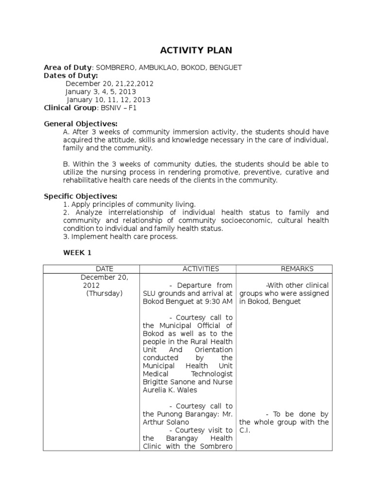 Community Activity Plan | Nursing | Medicine