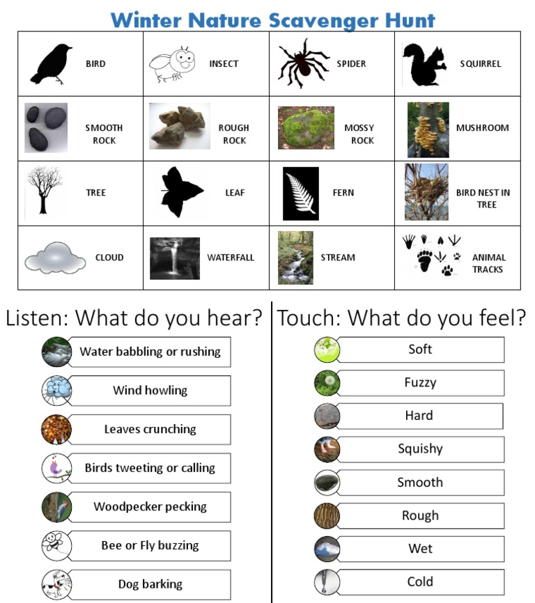 Nature Scavenger Hunt | PDF | Home & Garden | Art