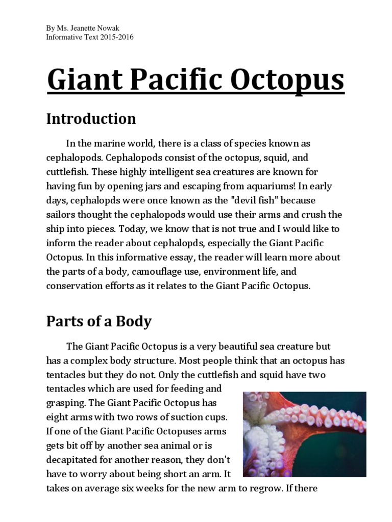Giant Pacific Octopus: Facts & Conservation | PDF | Octopus | Predation