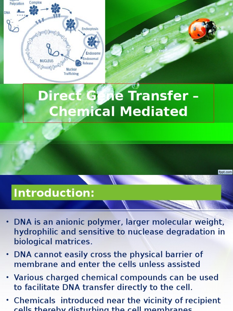 Chemical Method of Gene Transfer | PDF | Transfection | Biology