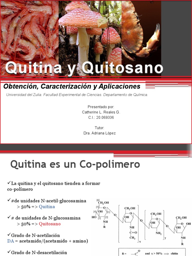 Quitina y Quitosano | Productos cosméticos | Alimentos