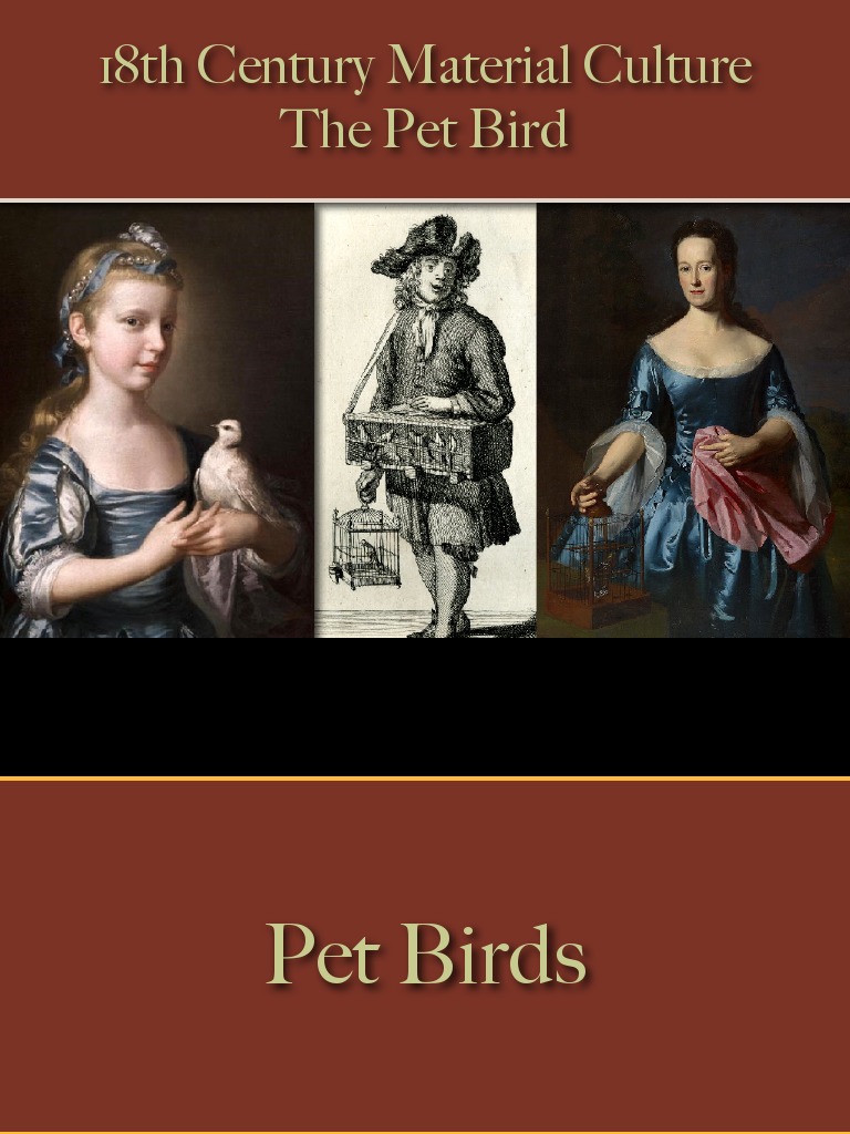 Animals - The Pet Bird | PDF