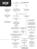 PATHWAY Ensefalitis | PDF