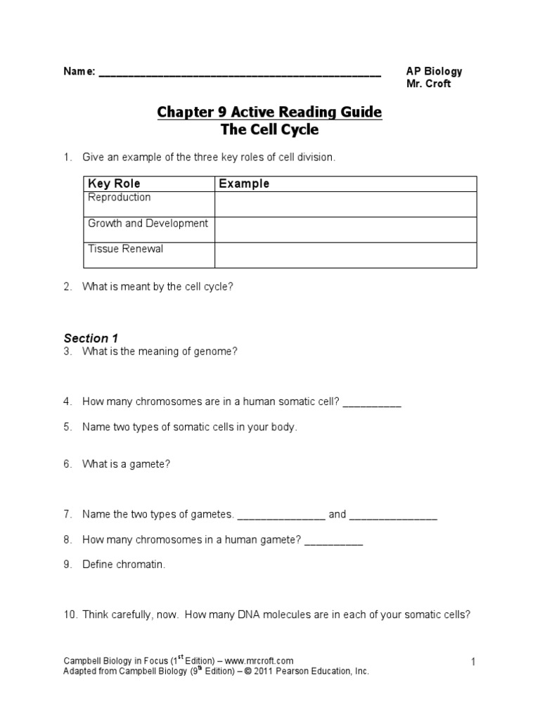 Chapter 9 Active Reading Guide | PDF | Mitosis | Chromosome