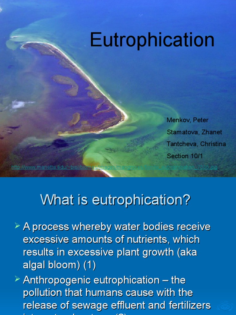 Eutrophication 100621101054 Phpapp01 | PDF | Eutrophication | Natural ...