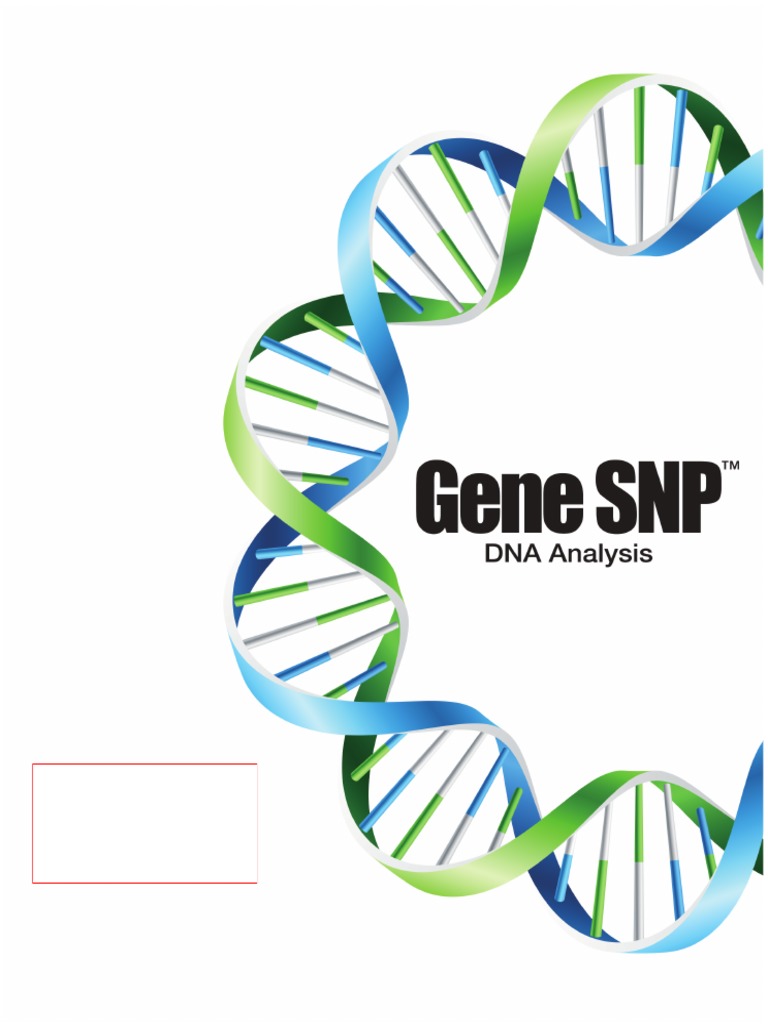 Gene SNP Sample Report | PDF | High Density Lipoprotein | Obesity