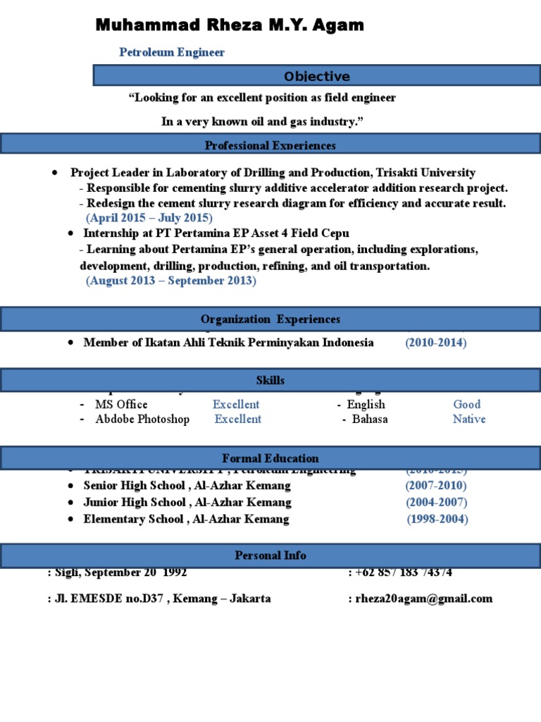 Petroleum Engineer Resume Overview | PDF | Business | Art