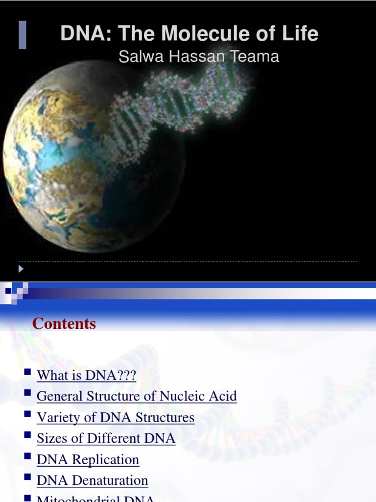 DNA The Molecule of Life | Dna | Chromosome