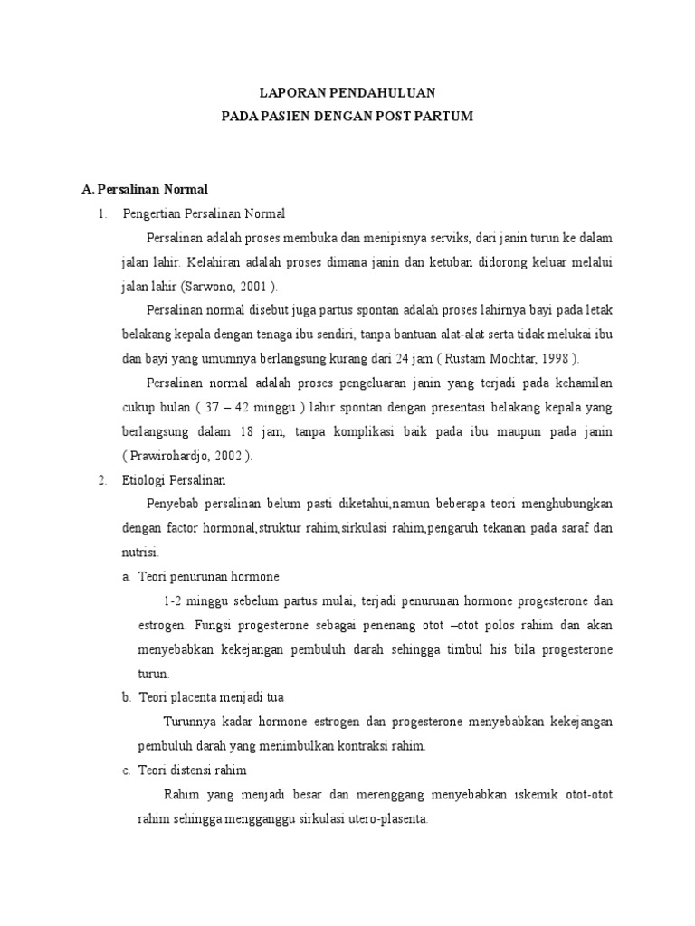 LP Persalinan Normal | PDF