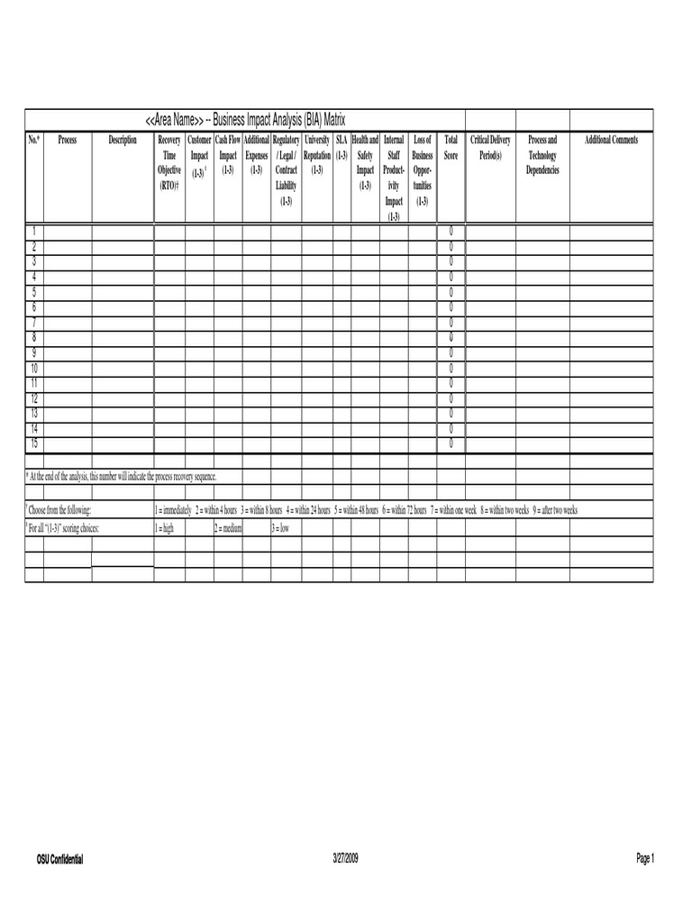 BIA Matrix Worksheet | PDF | Business Process | Budget