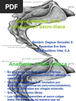 Nutación y Contranutación en la Pelvis | PDF | Pelvis | Sistema esquelético