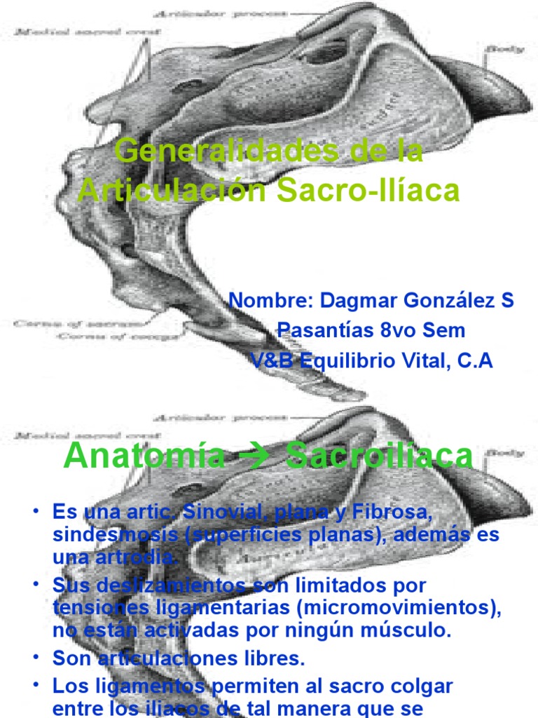 Generalidades del Sacro | Sistema musculoesquelético | Sistema esquelético