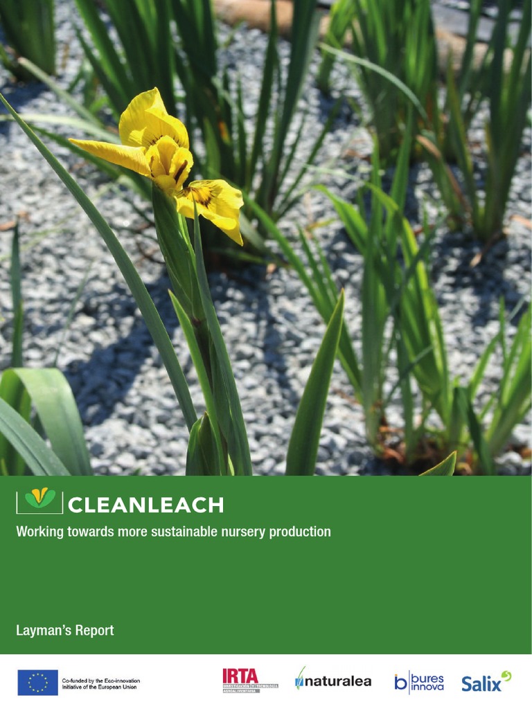 Layman's Report | PDF | Wetland | Sewage Treatment