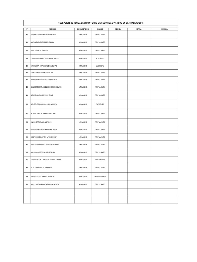 Recepcion de Entrega de Risst) | PDF