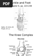 NASM Solutions Table Expanded | PDF | Foot | Anatomical Terms Of Motion