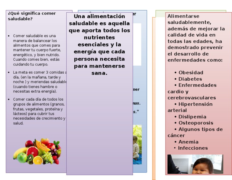 Tríptico sobre Alimentación Saludable | PDF | Nutrientes | Alimentos