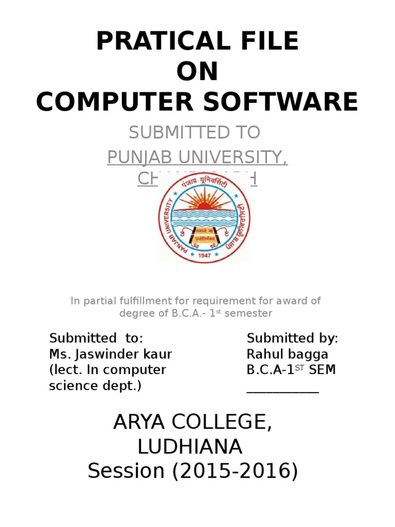BCA Software Practical File | PDF