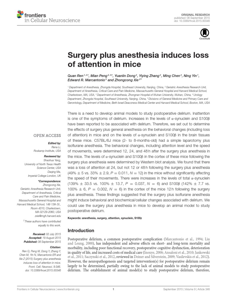 Operasi Pada Tikus | Anesthesia | Western Blot