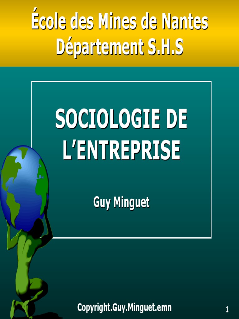 SOCIOLOGIE DE L'ENTREPRISE - Modèle de La Contingence Structurelle | PDF