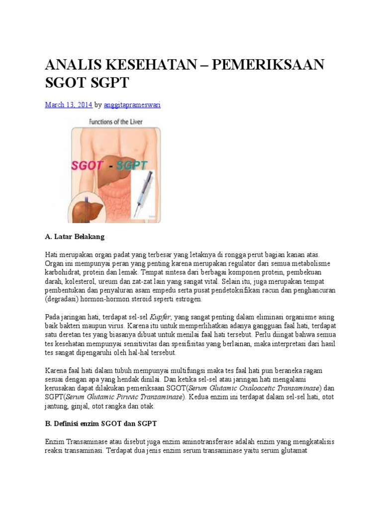 Analis Kesehatan Sgot SGPT | PDF