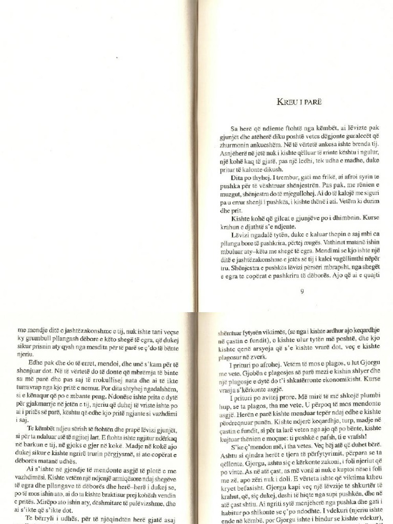 Prilli I Thyer PDF | PDF
