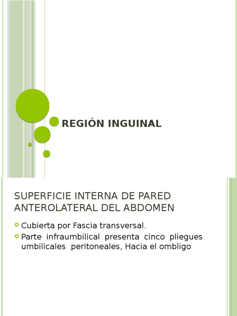 Anatomia de Region Inguinal | PDF | Abdomen | Testículo