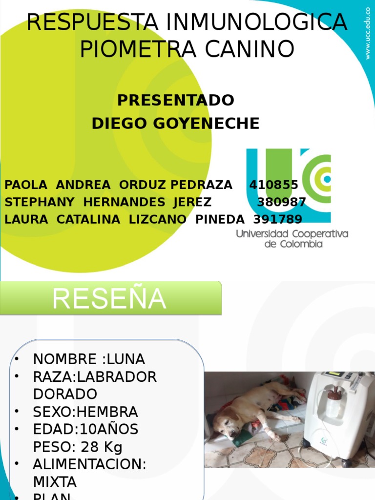 PIOMETRA | PDF | Inflamación | Anatomía