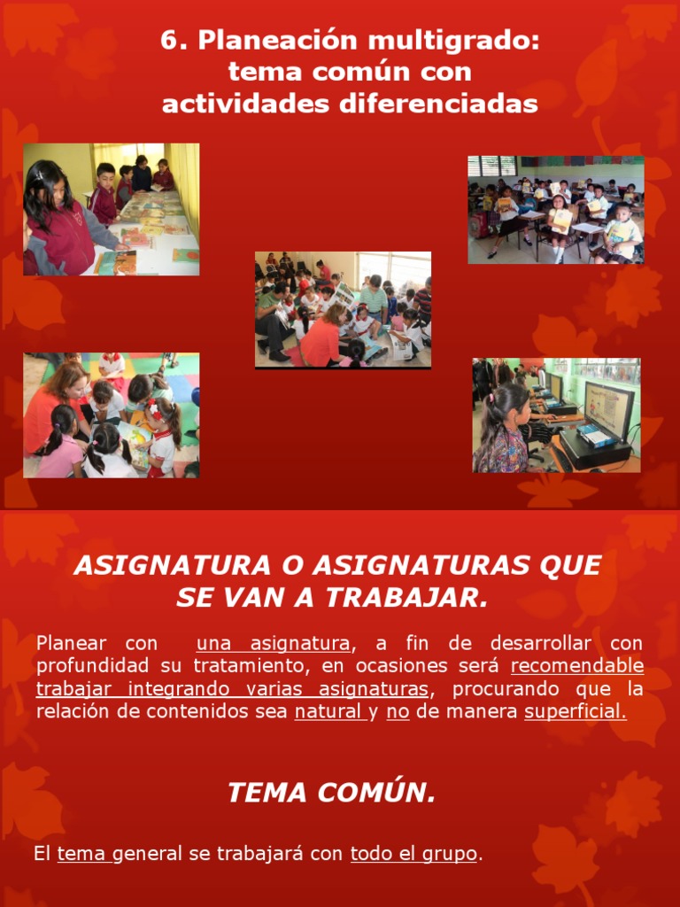Tema Comun Con Actividades Diferenciadas | PDF | Lectura (proceso ...