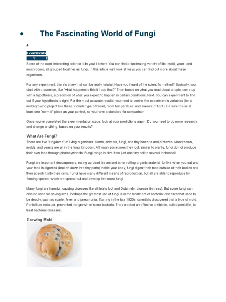 The Fascinating World of Fungi | PDF | Mold | Mushroom