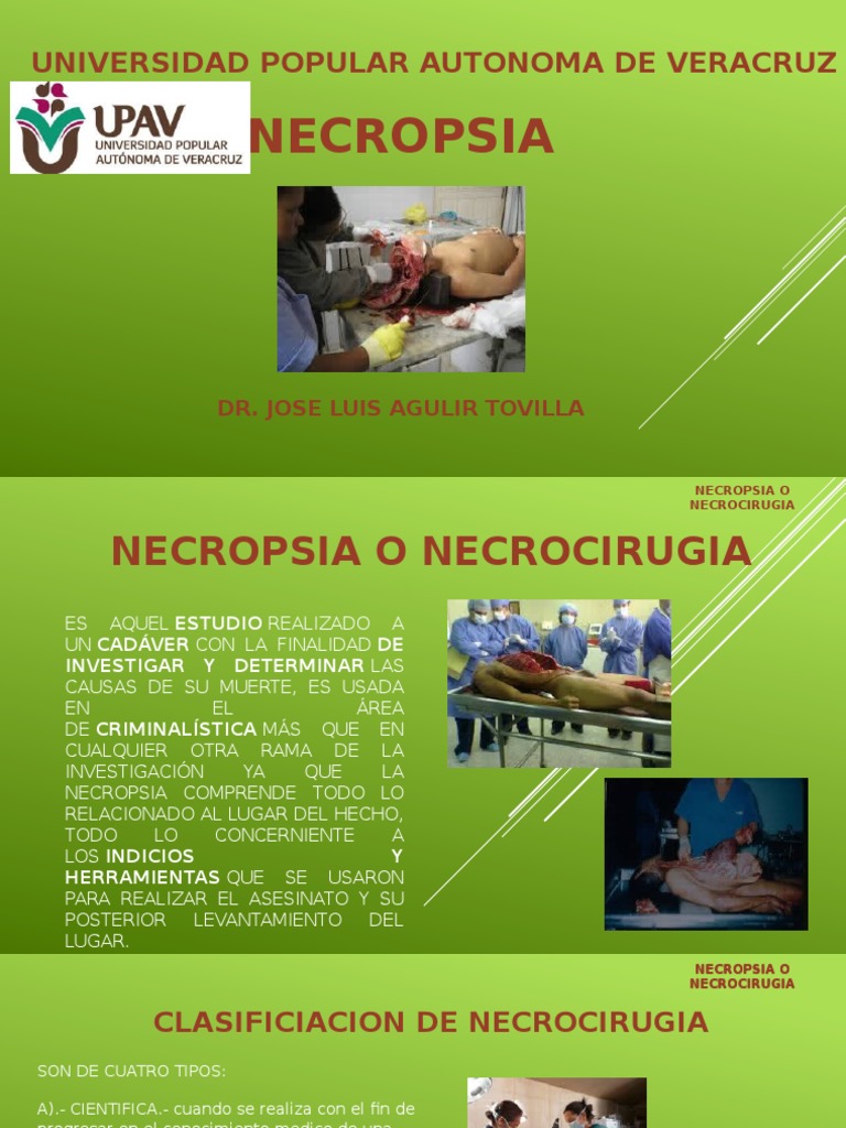 Necropsia o Necrocirugia-exposicion | Lesión | Toxicología