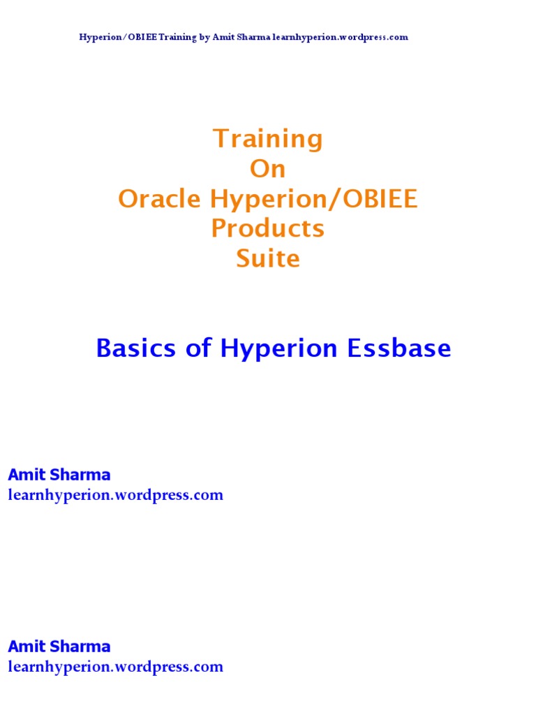 Hyperion Essbase Basics | PDF | Information Science | Databases