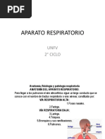 Anatomia de Via Aerea Inferior | PDF | Pulmón | Anatomía