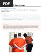 CSOP Presentation | PDF | Police | Community