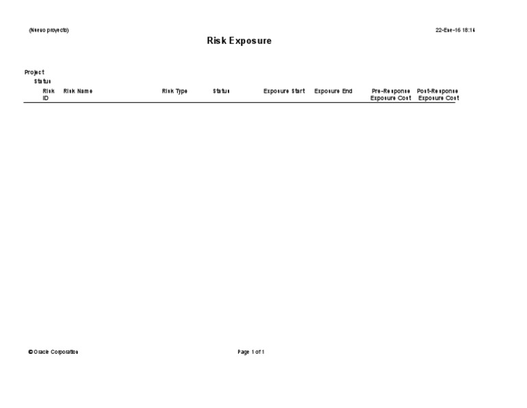Risk Exposure | PDF | Technology & Engineering