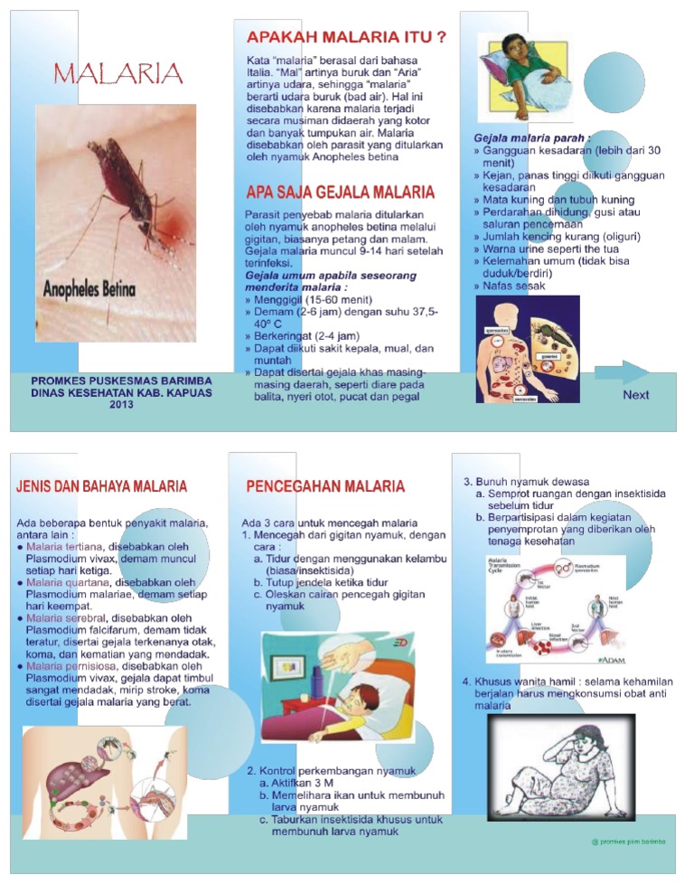 Leaflet Malaria | PDF