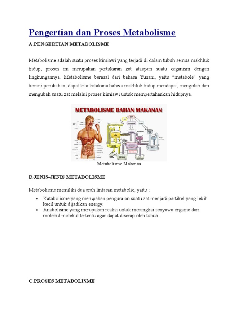 Pengertian Dan Proses Metabolisme | PDF