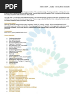NACE Coating Inspector Level 1 Overview | PDF | Coating | Certification