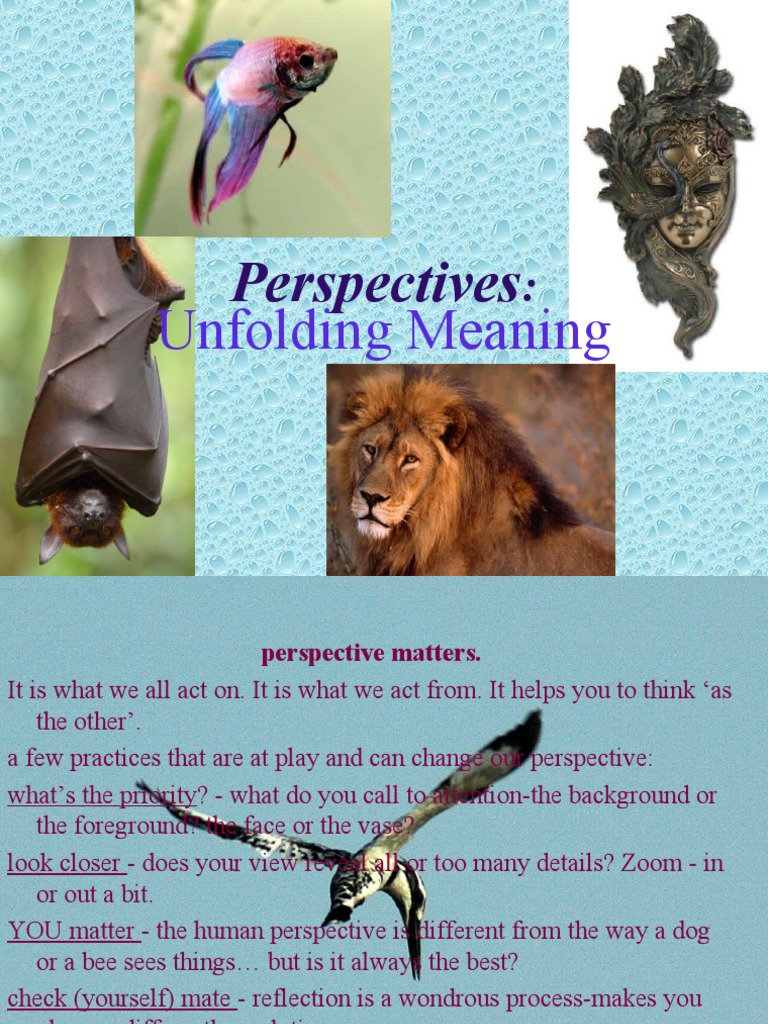 Perspectives: Unfolding Meaning | PDF