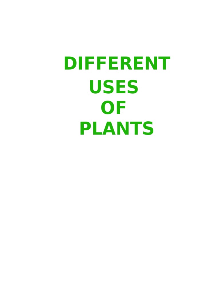 The Importance of Plants To Humans | PDF | Jute | Flax