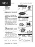 Parasite Summary Table Final | PDF | Veterinary Medicine | Animals And ...