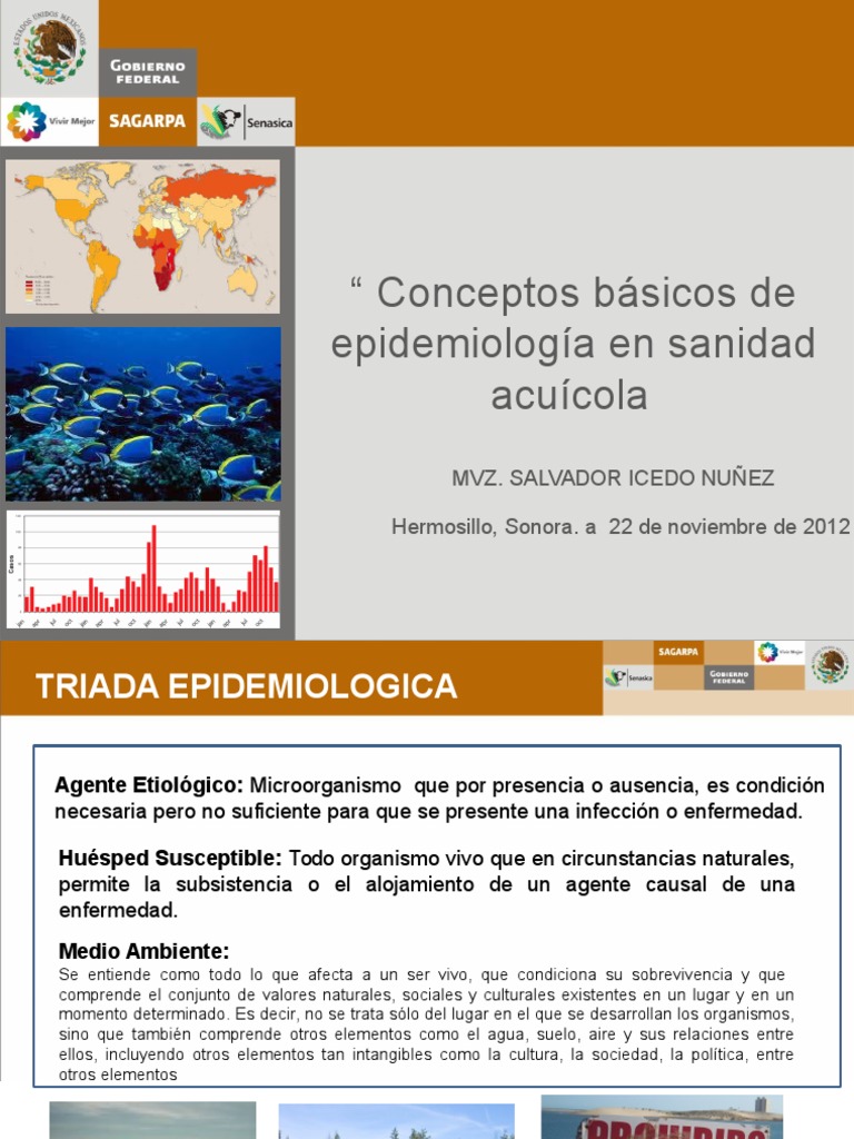 Conceptos Basicos de Epidemiologia | PDF