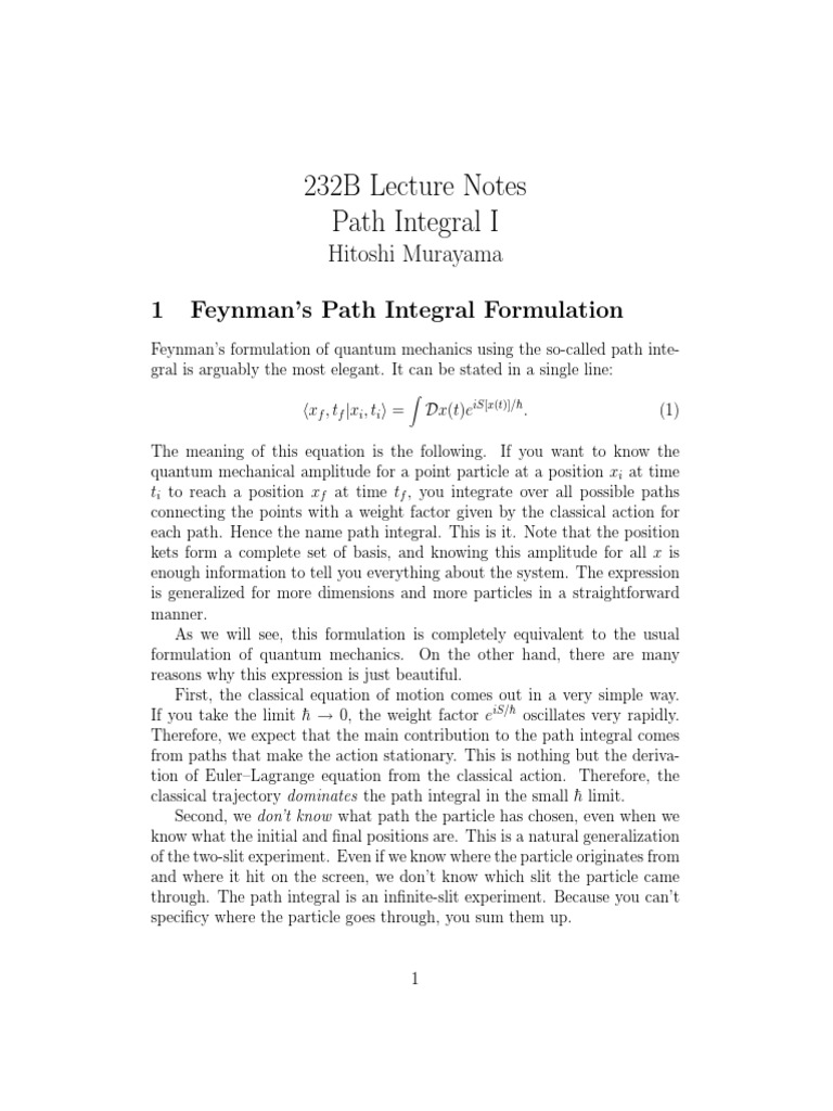 Path Integral | PDF | Quantum Mechanics | Lagrangian Mechanics