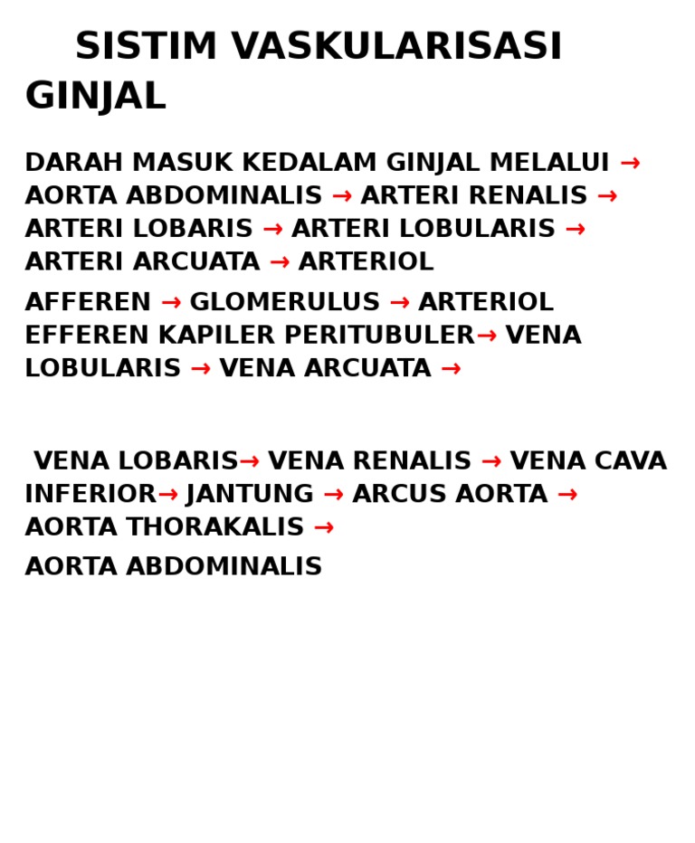 Vaskularisasi Ginjal | PDF