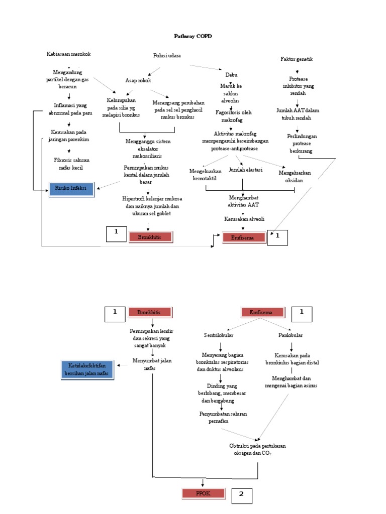 Pathway COPD | PDF