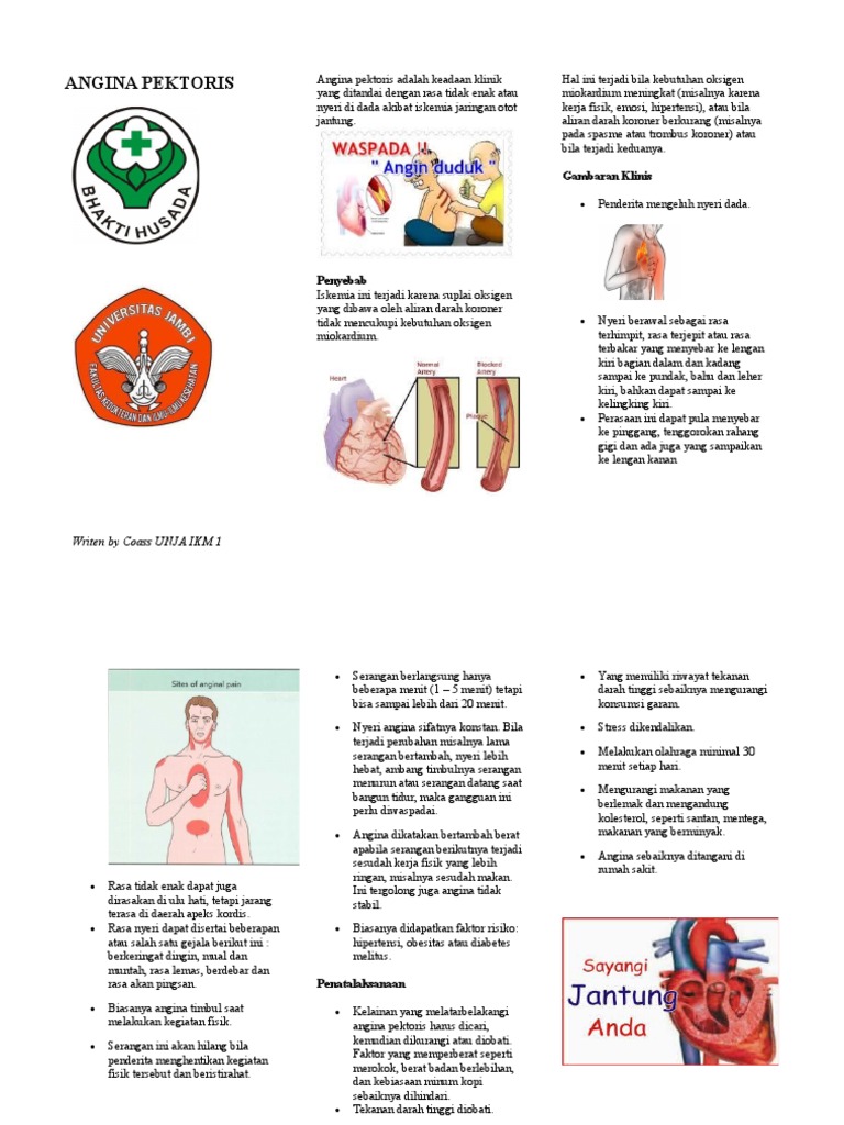 Angina Pektoris | PDF