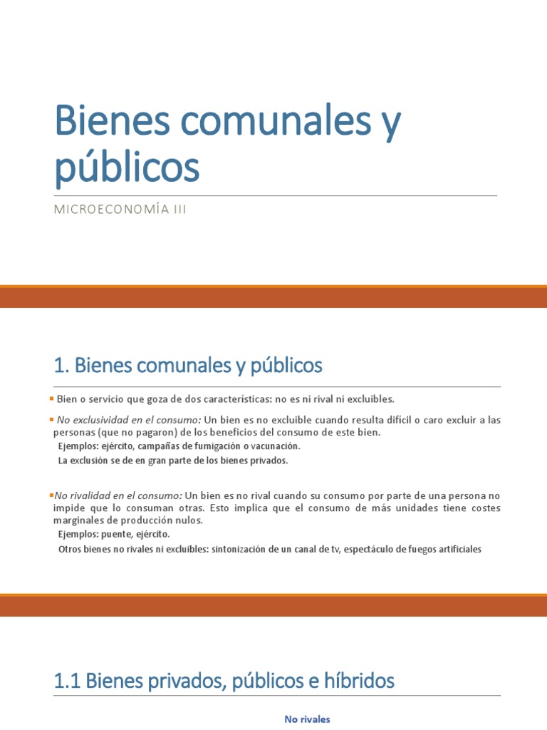 Bienes Publicos Comunales | PDF | Bien público | Bienes